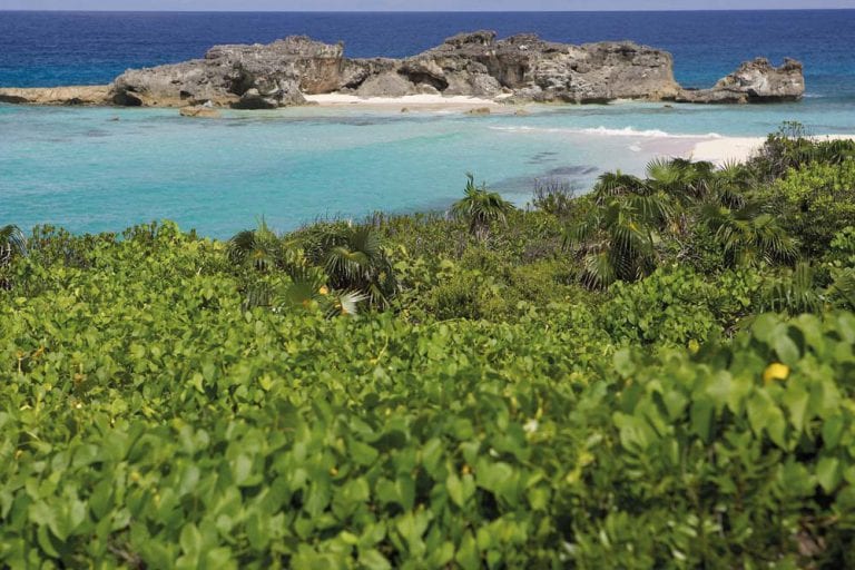 The 10 best things to do in the Turks and Caicos Islands