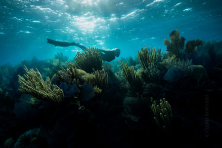 Interview with Freedive Champion Beth Neale | Destination Magazines
